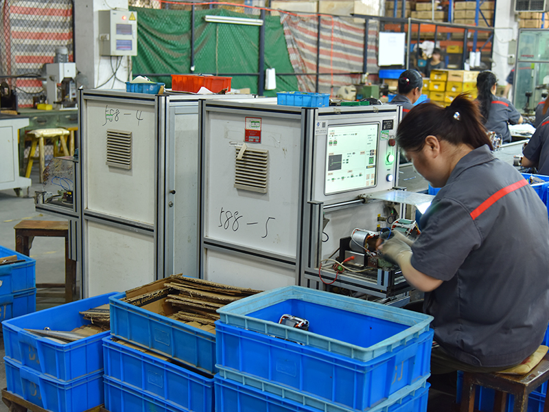 Zhejiang Langshi Electric Machine Co.,Ltd